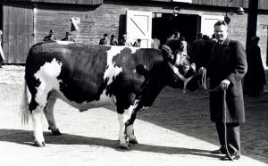 ONZE GESCHIEDENIS – Slagerij B. Tol & Zn